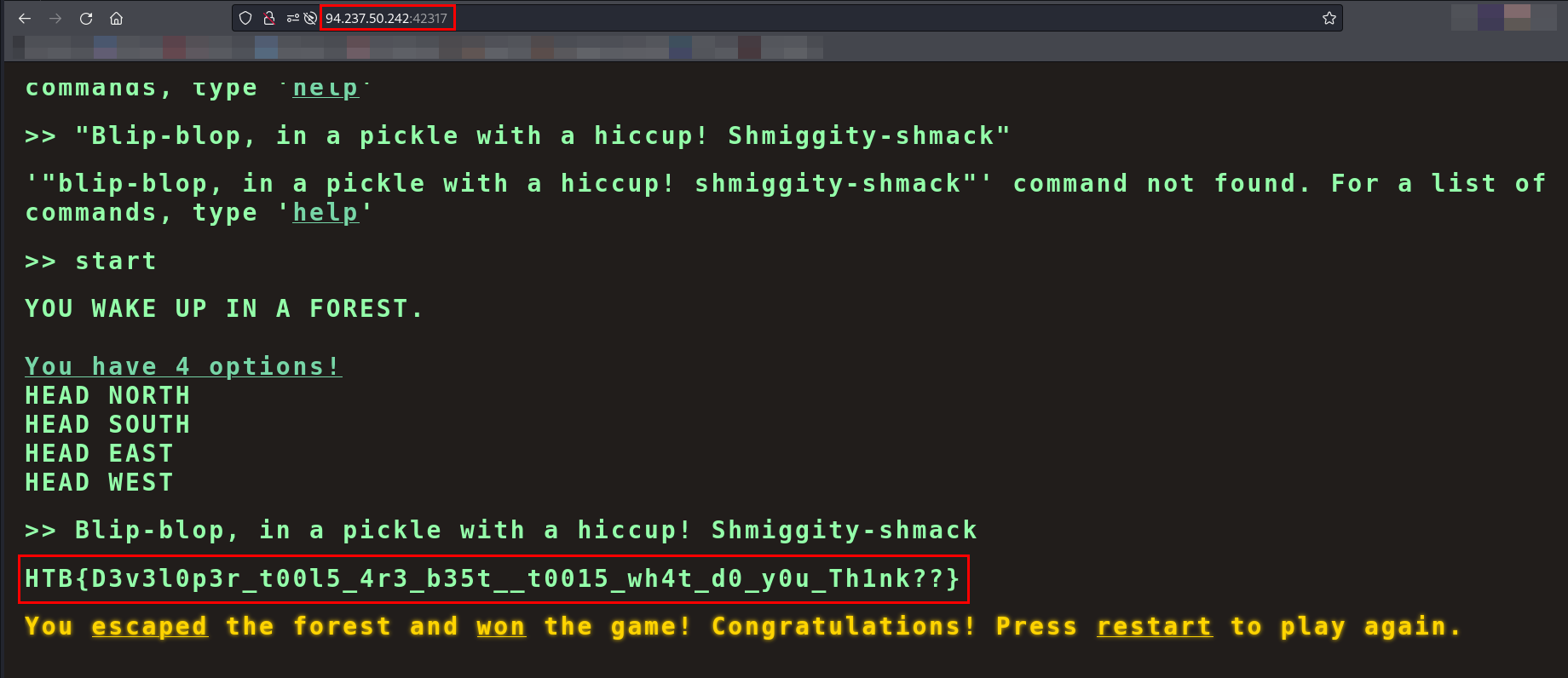 HackTheBox Challenge - Flag Command | Samarth Dad